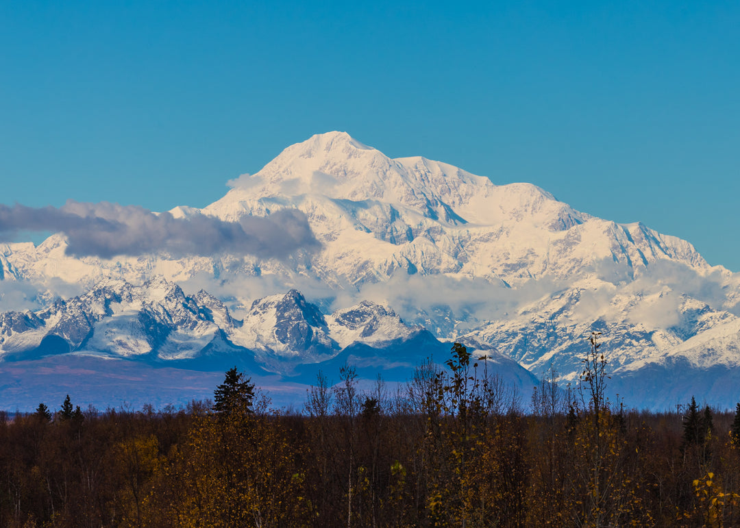 Denali - The Great One – Dave Wood Nature Photography