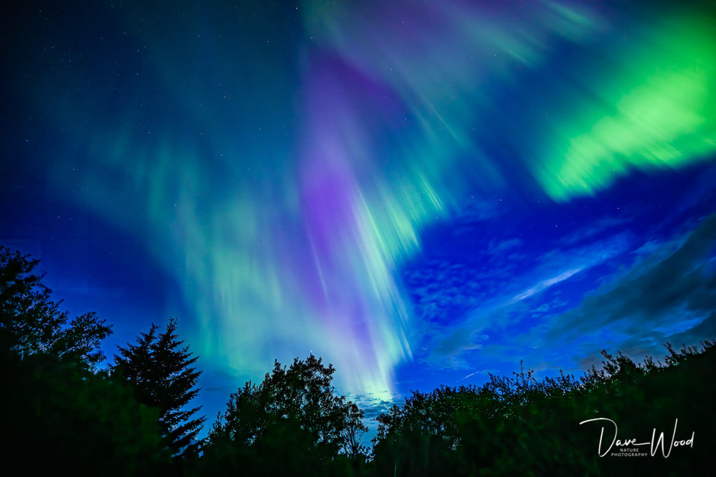 Colorful Aurora Borealis